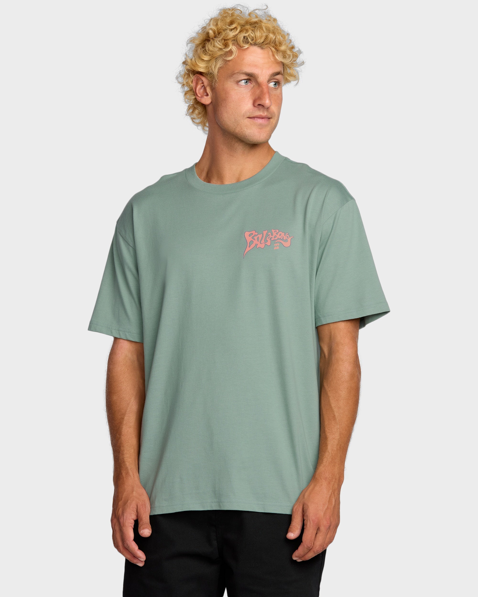 Mens Morning Haze Regular T-Shirt – Billabong AU