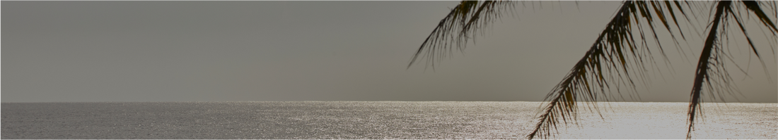 Billabong | Lifestyle & Technical Surf Clothing and Swimwear Brand ...